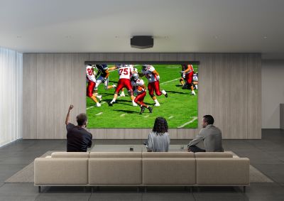 Projectors | Sony CA