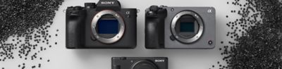 ZV-1M2 | Compact Cameras | Sony India