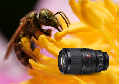 Sony CA | Latest Technology News | Electronics | Entertainment