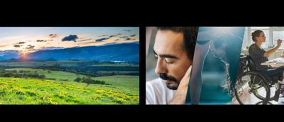 BRAVIA 8 II | 4K HDR | OLED | Smart TV | TVs | Sony Australia